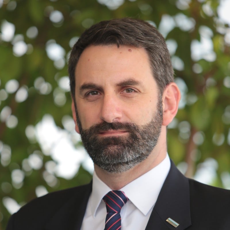 George M. Teriakidis - Artificial Intelligence in Action